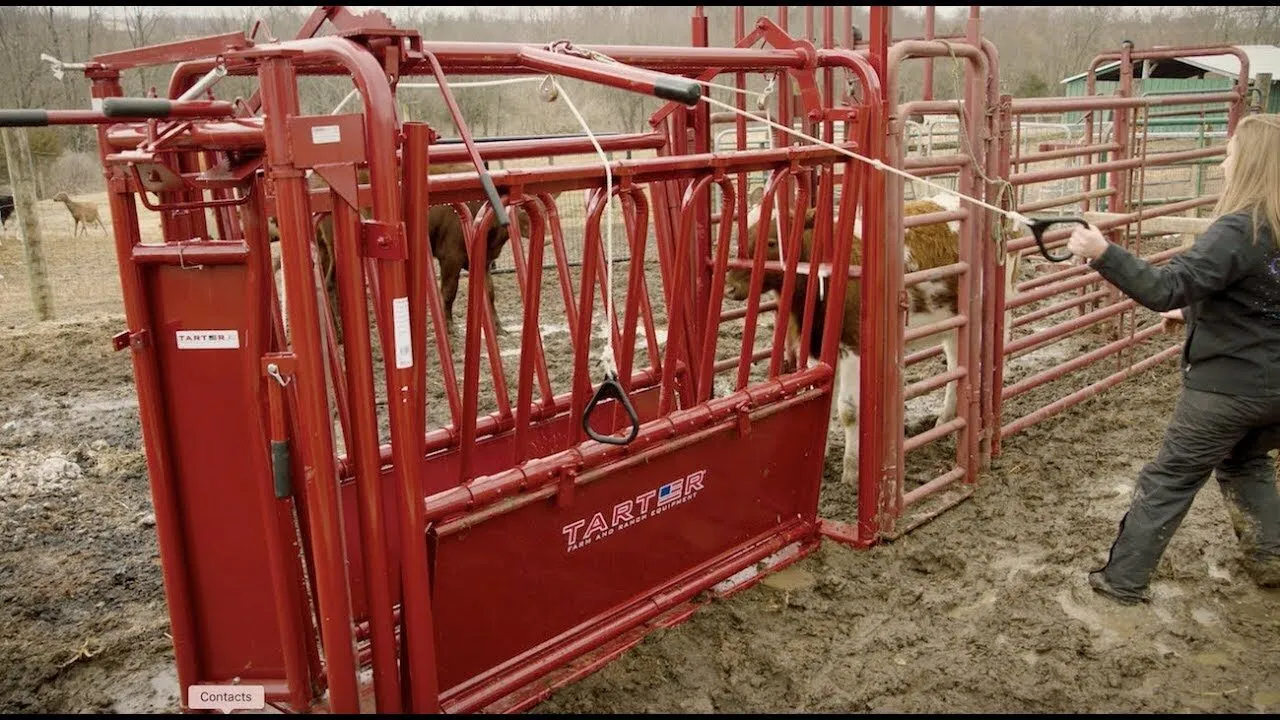 Cattlemaster Series 3 Squeeze Chute W/ Auto Headgate - Tarter USA