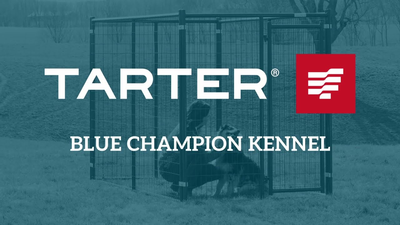 Blue Champion Dog Kennel - Tarter USA