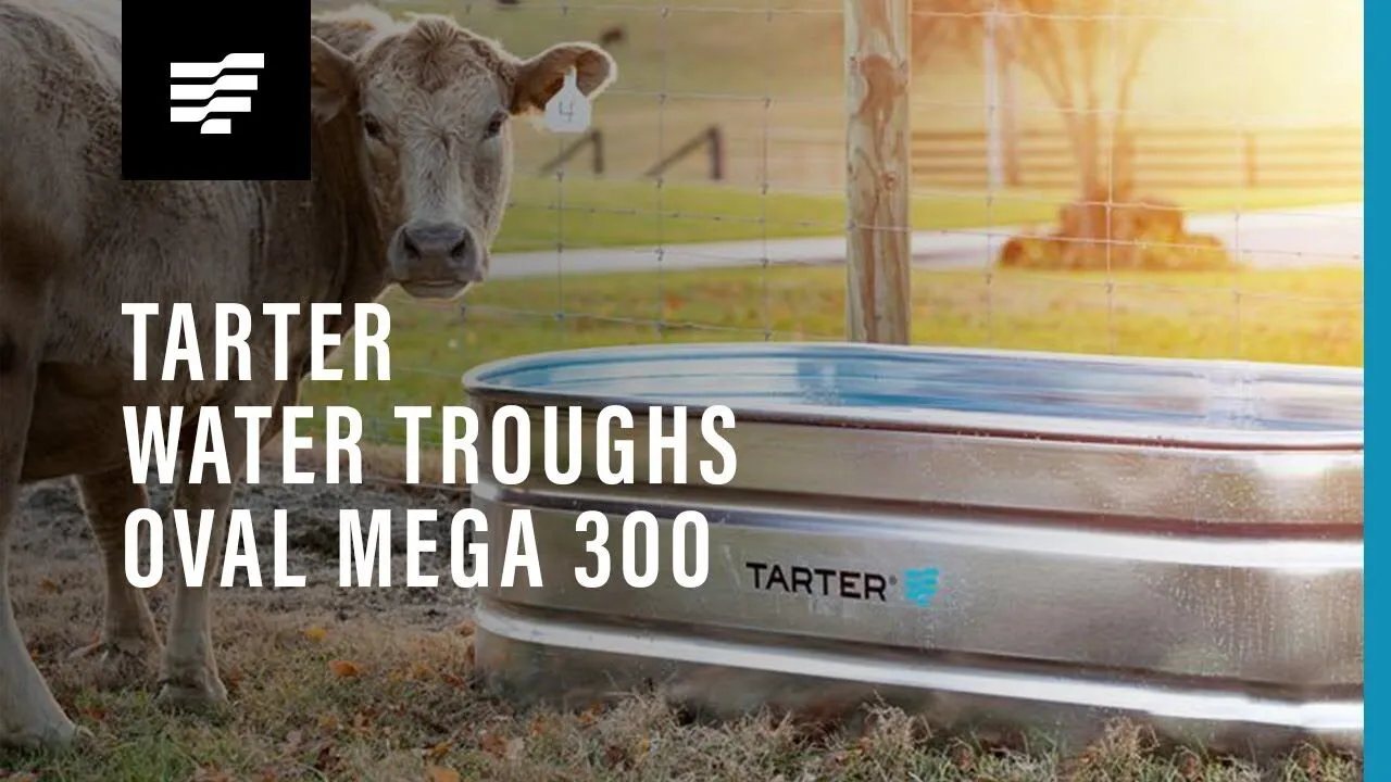 Oval Mega 300 Water Trough - Galvanized Steel - Tarter USA