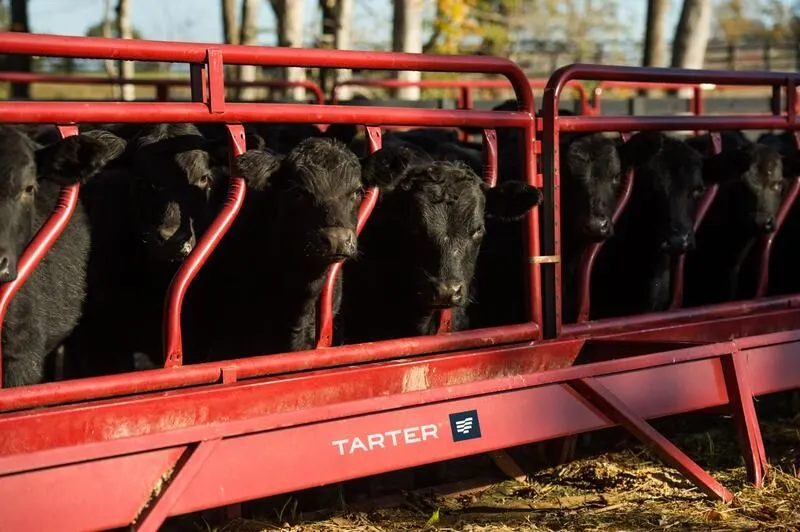 cattle feed bunk dimensions